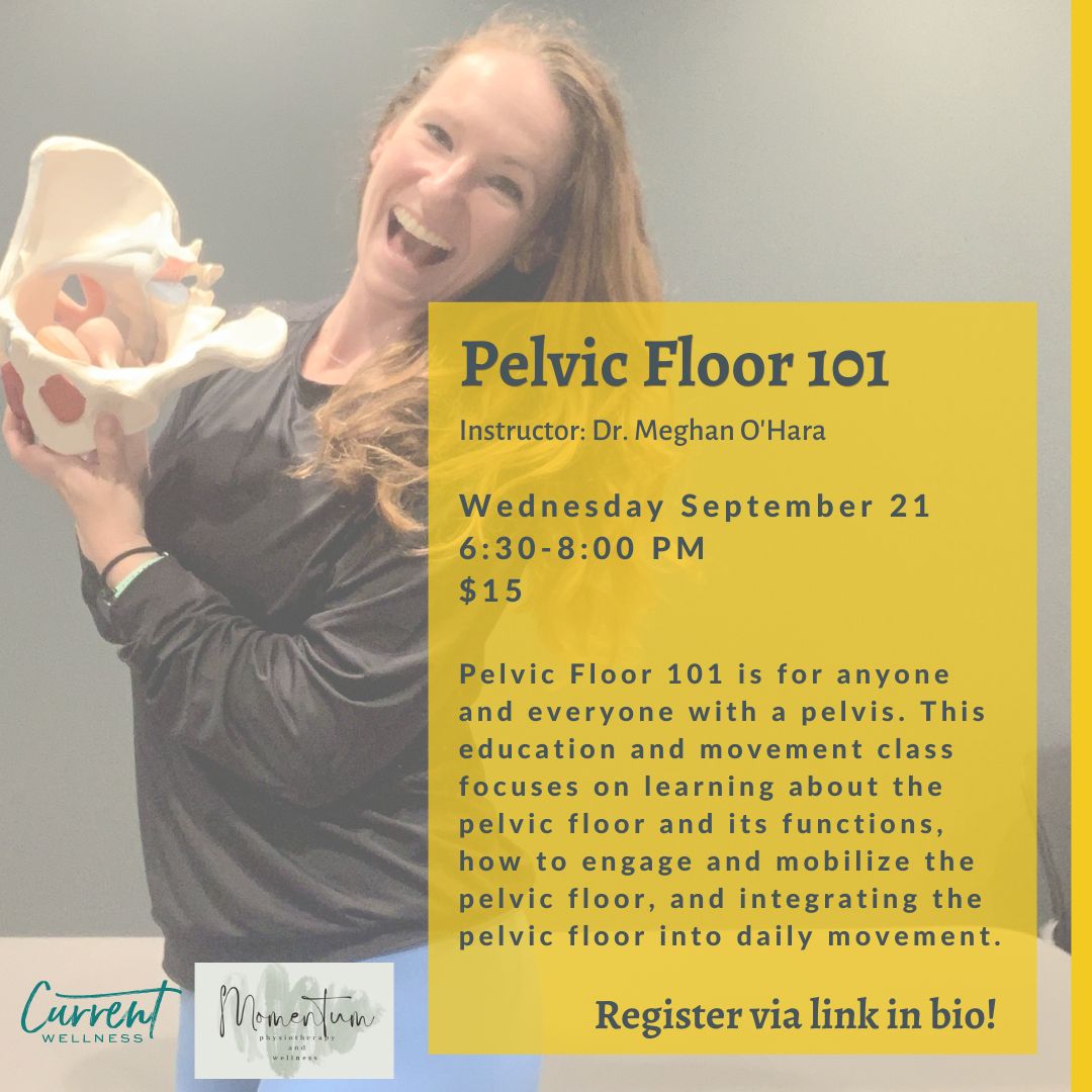 Pelvic Floor 101 - Current Wellness